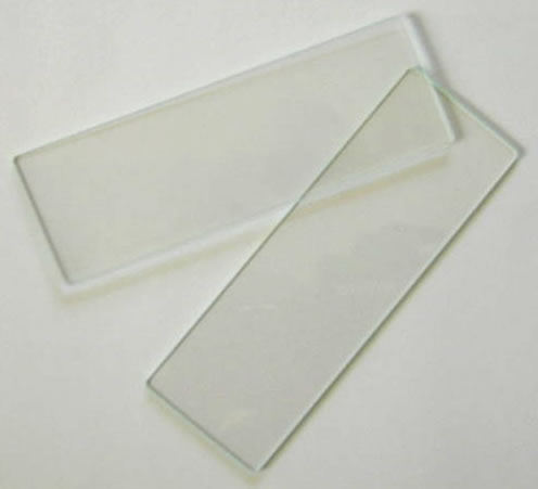 Glass Slides - Harrick Plasma